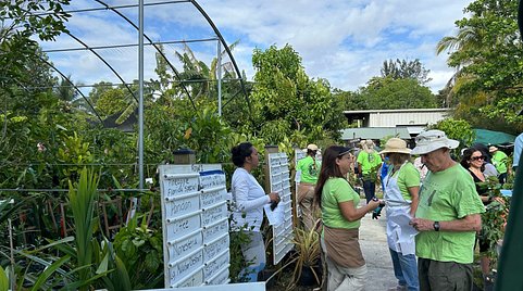 HOME - Rare Fruit & Vegetable Council of Broward County